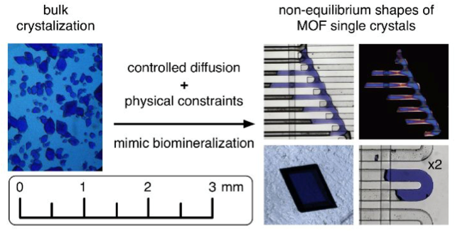 Recent Publications – Funimat